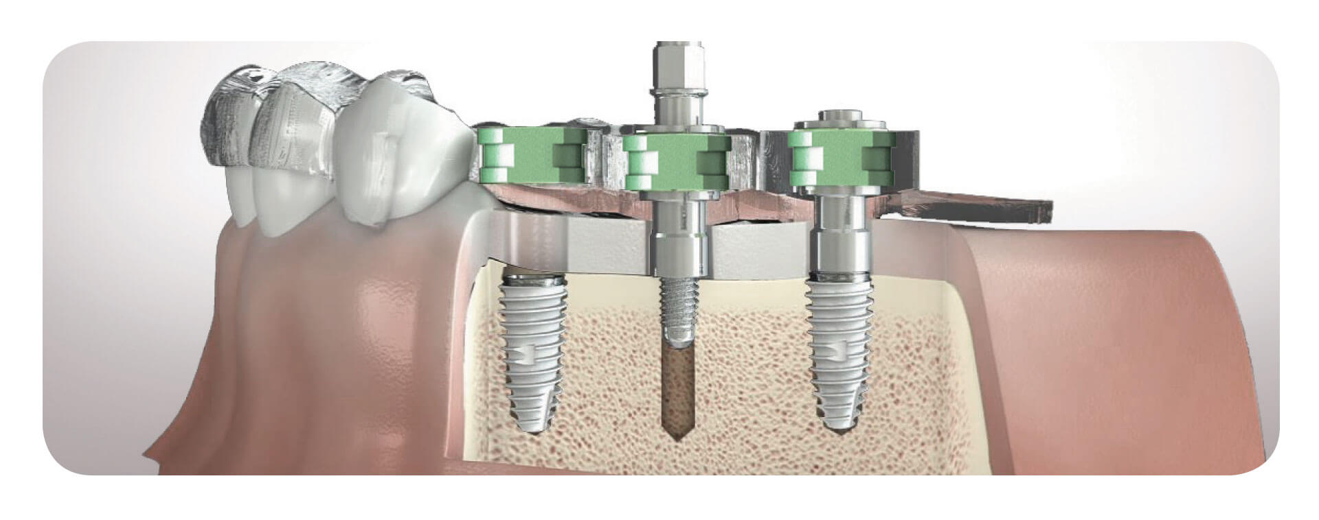 NAVIGUIDE : NeoBiotech Thailand